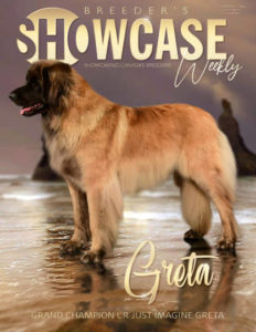 Our Beautiful Greta | Concorde Ridge Leonbergers